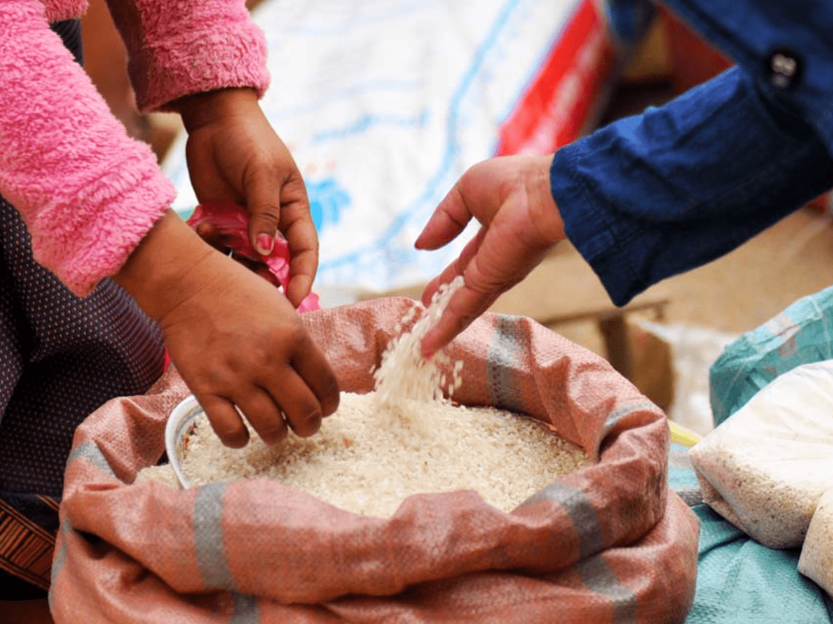 Free Ration Programs: Navigating Challenges, Shaping Markets, and the ...